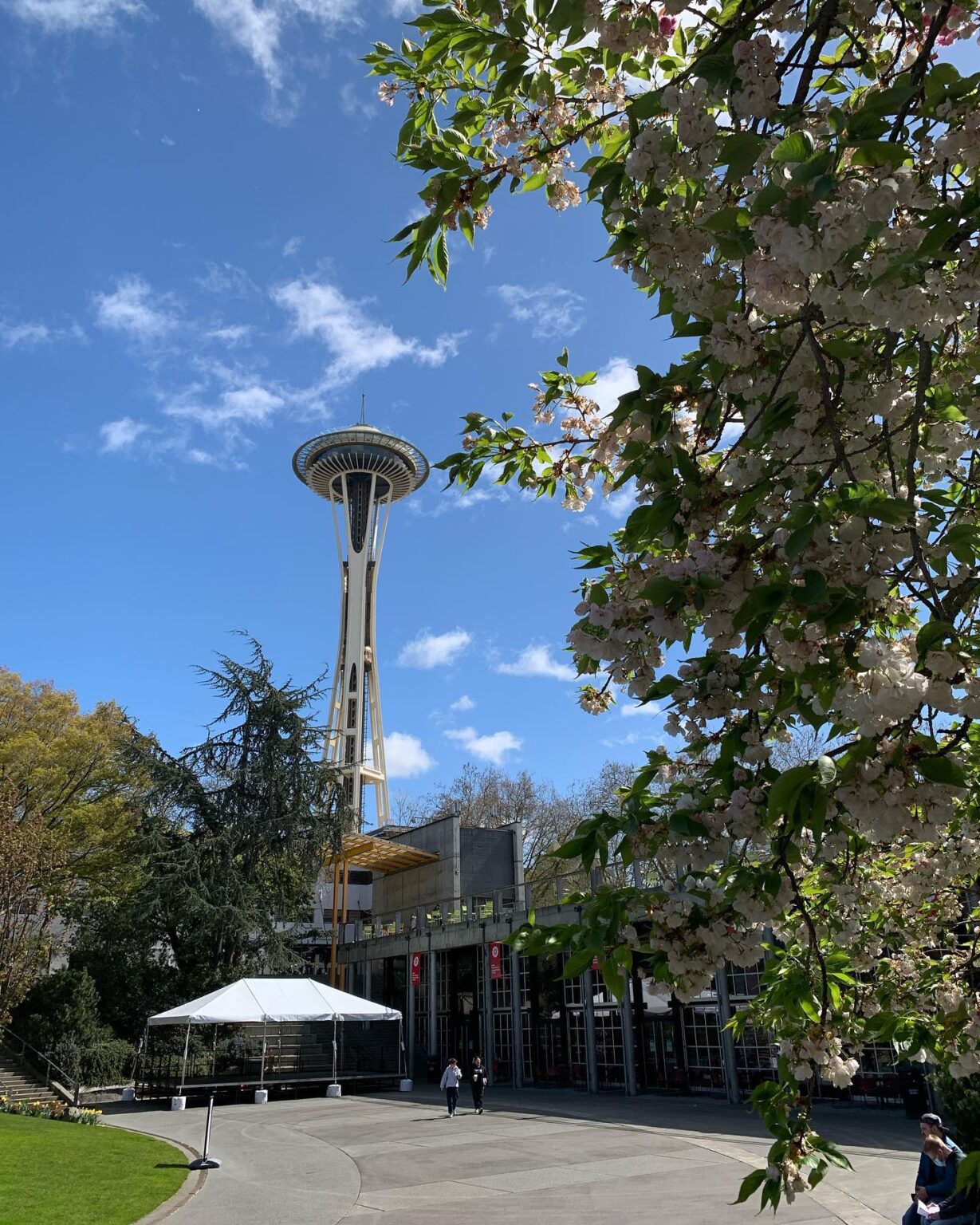 11 Things to Do in Seattle This April (2023) | Clipper Vacations (2023)