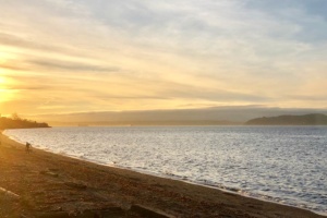 50 Things to Do in Seattle this Summer | Clipper Vacations Magazine