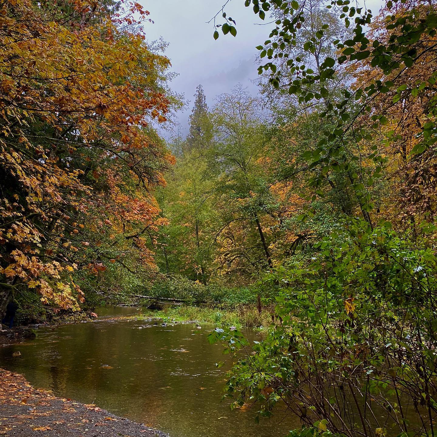 The 9 Best Places to See Fall Colors in Victoria, BC