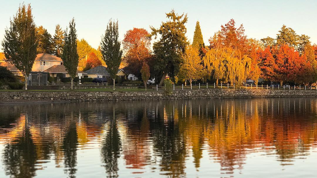 The 9 Best Places to See Fall Colors in Victoria, BC