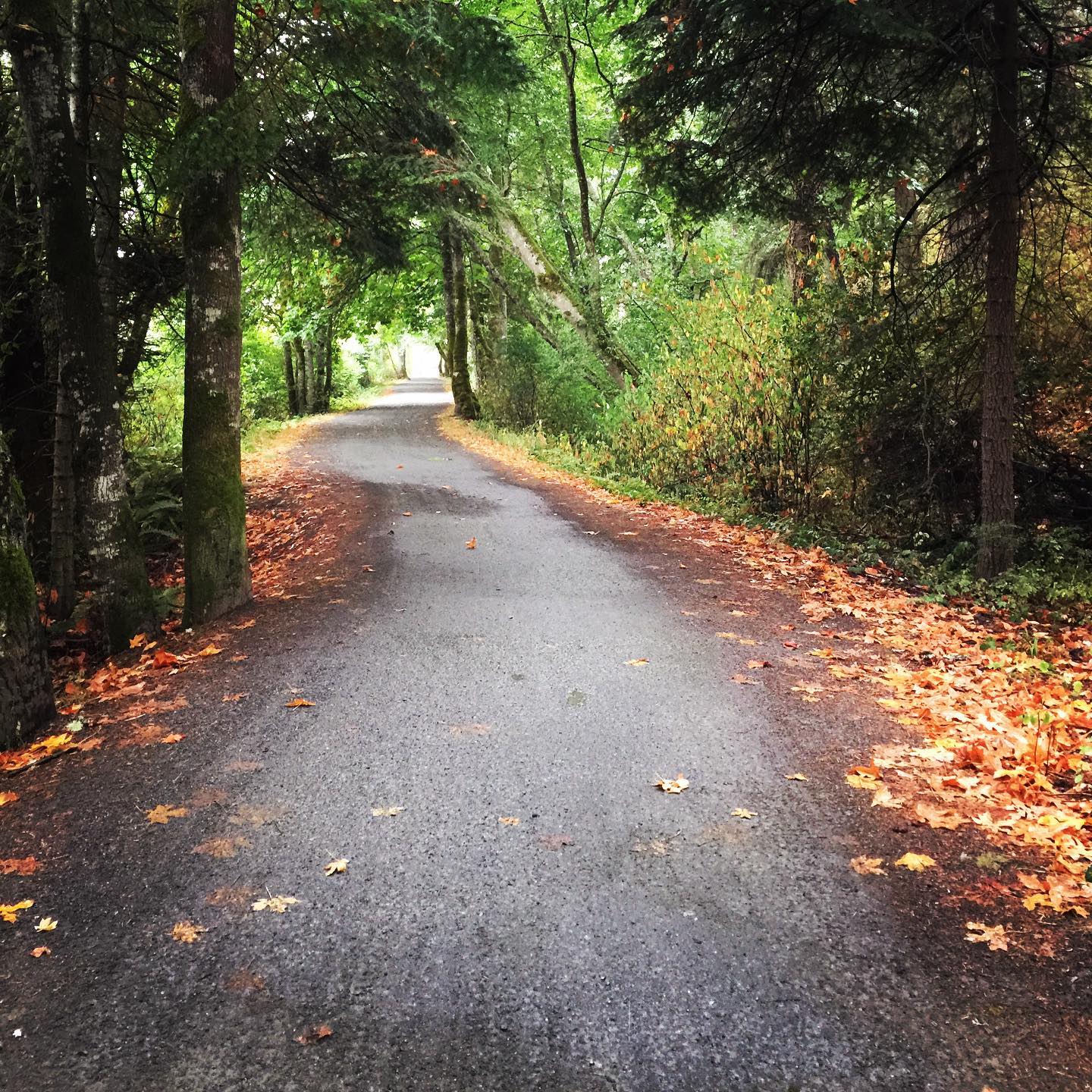 The 9 Best Places to See Fall Colors in Victoria, BC