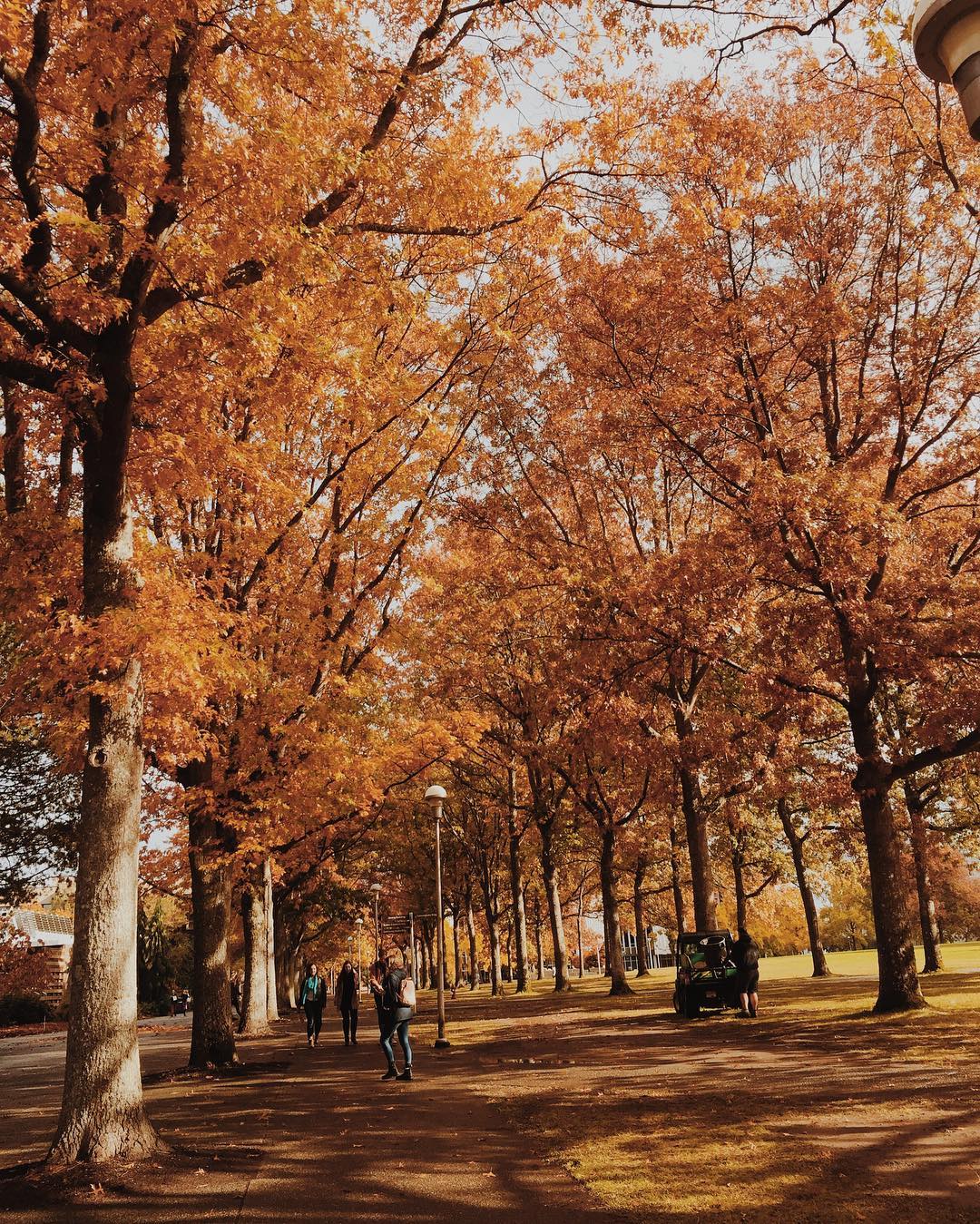 The 9 Best Places to See Fall Colors in Victoria, BC