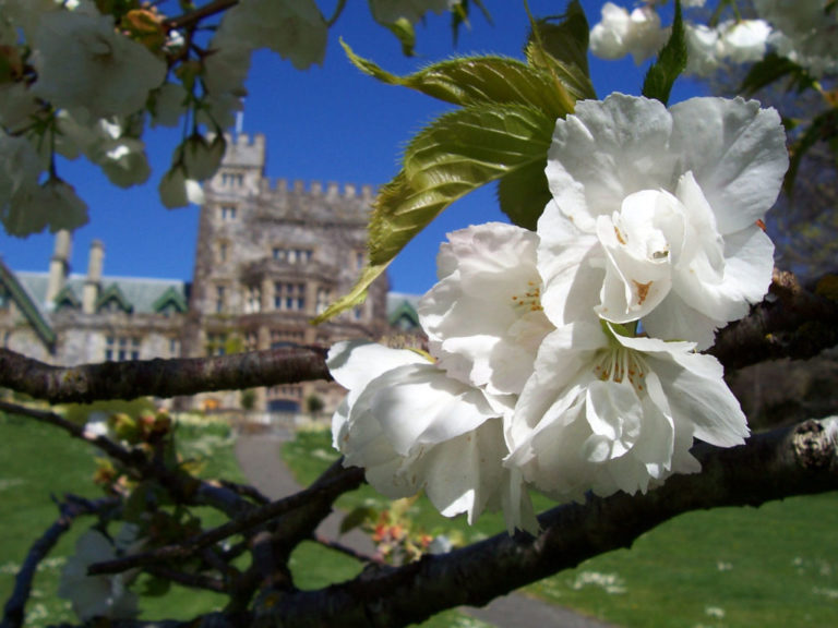 70 Things to Do in Victoria, BC This Spring | Clipper Vacations