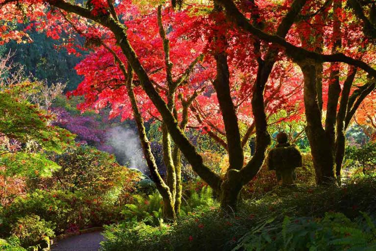 The Ultimate Guide to The Butchart Gardens | Clipper Vacations