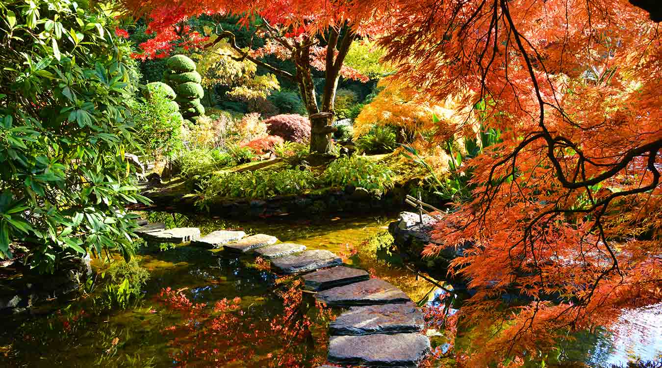 Butchart Gardens Hours In October | Fasci Garden
