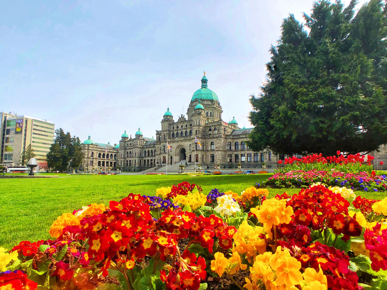 Traveler Specials | Clipper Vacations