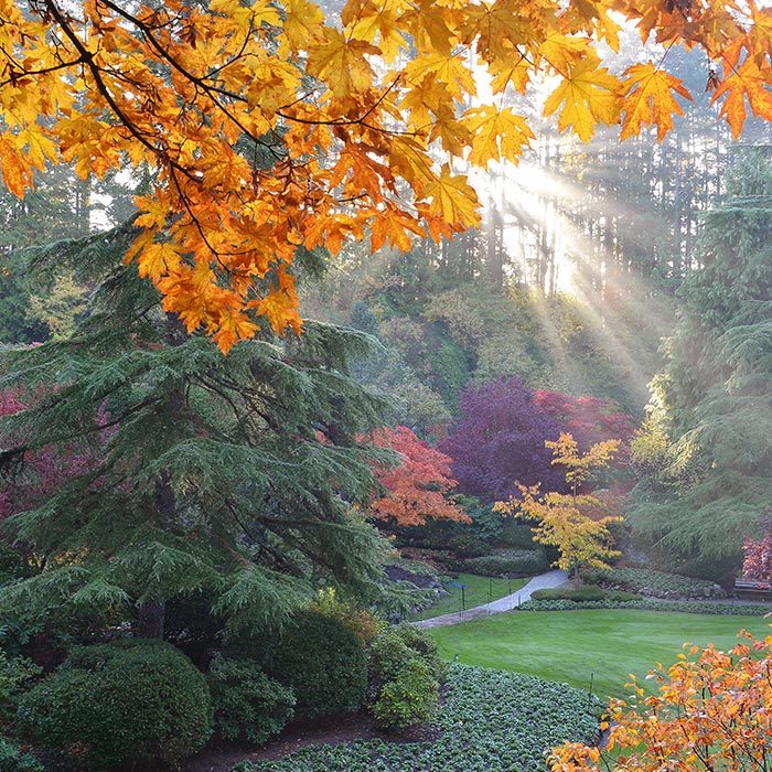 Clipper Vacations | Seattle to Victoria Ferry & PNW Vacations