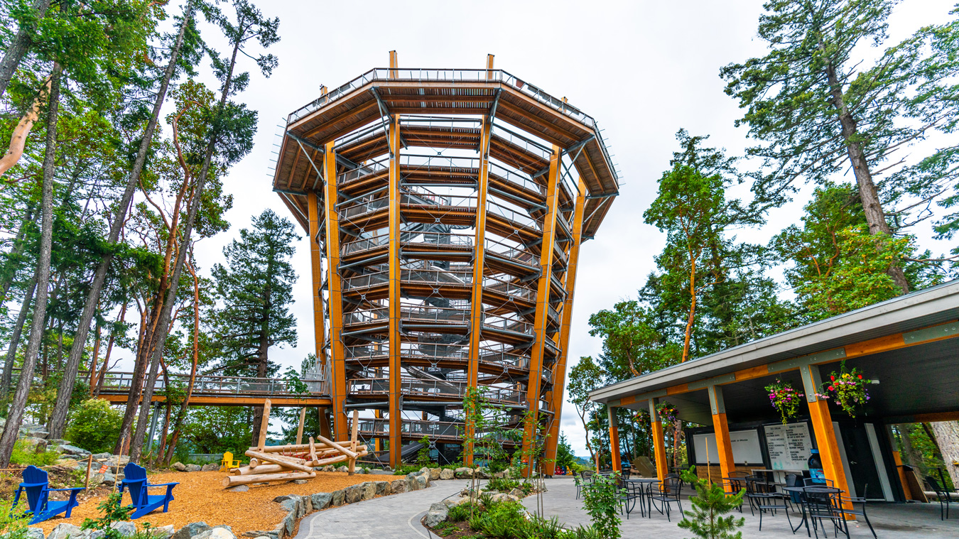 Seattle to Victoria Day Trip with Malahat Skywalk Tour | Clipper Vacations