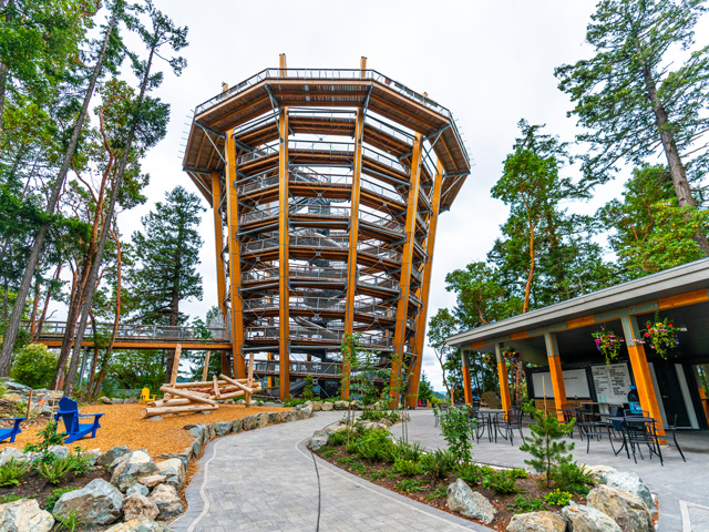 Malahat Skywalk Overnight Package from Seattle to Victoria, BC