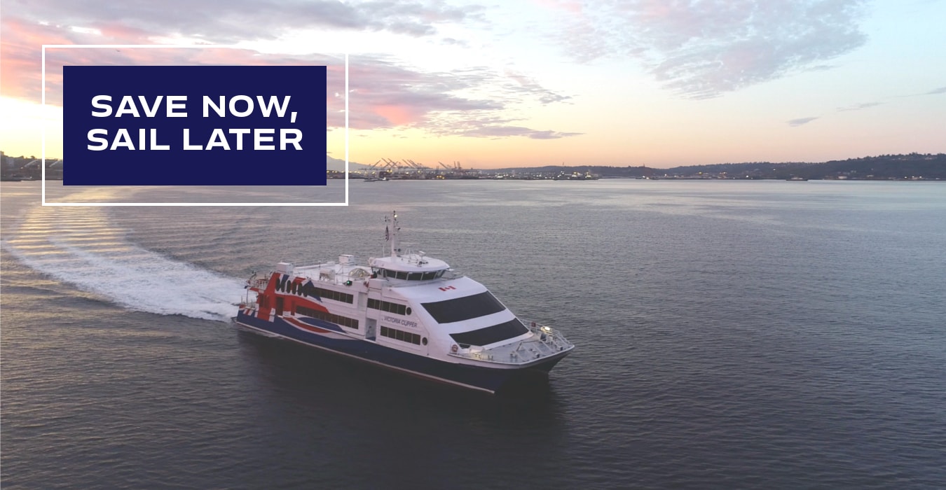 Traveler Specials | Clipper Vacations