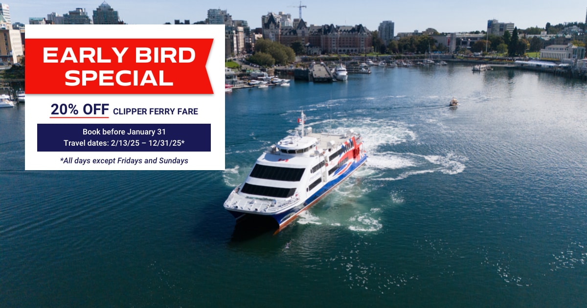 Traveler Specials | Clipper Vacations